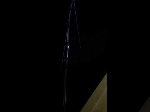 WhatsApp Video 2018 04 11 at 12 04 26