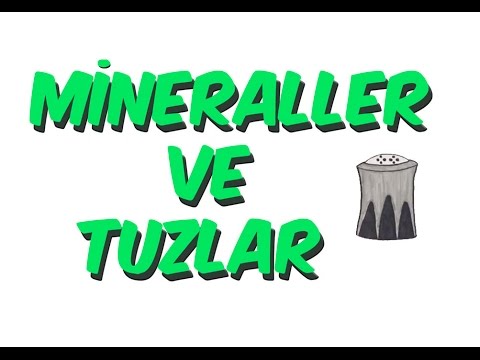 MİNERALLER VE TUZLAR | 9.Sınıf