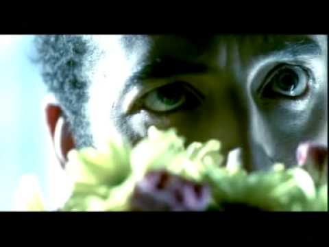 Yapı Kredi Sigorta / Karpuz