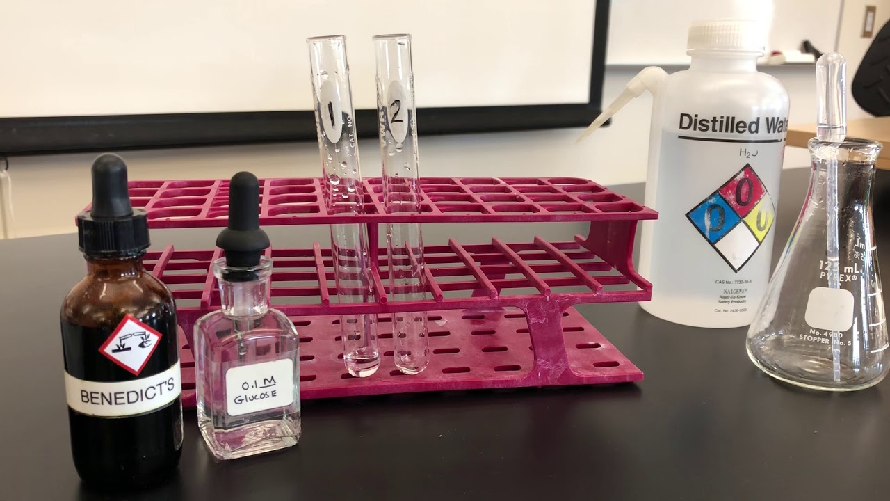 BI-112 Simple Sugar Test for Lab 2 - YouTube
