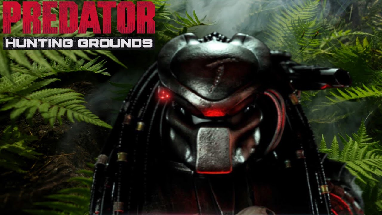 Predator Hunting Grounds#212 The Best Defence - YouTube