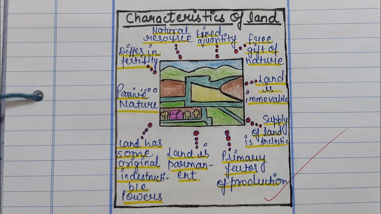Economics Lesson Plan | Topic - Land | B.Ed,D.El.Ed |Lesson plan for ...