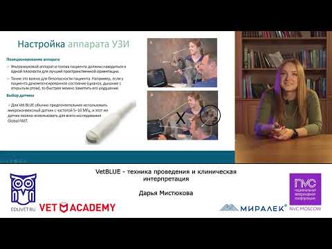 Лекция «VetBLUE - техника проведения и клиническая интерпретация ...