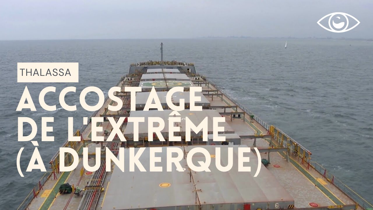 Accoster un cargo de 225 m de long... Thalassa - YouTube