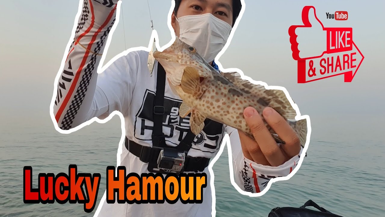Catching Hamour(Lapu-Lapu) in Umal Quin, UAE. NewFishing Spot - YouTube