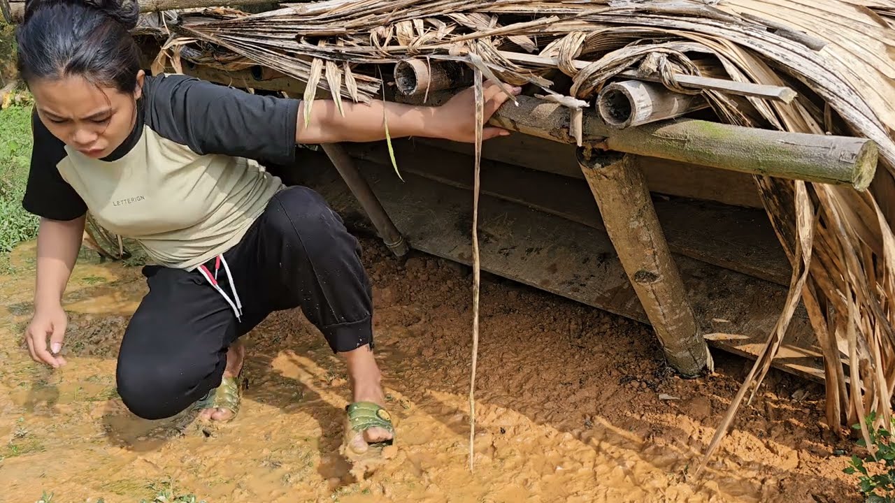 After the storm, my entire farm was deformed. - YouTube