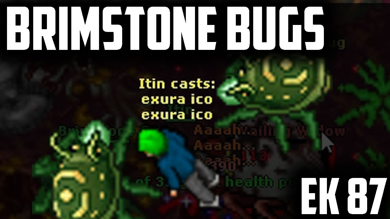 EK 87 BRIMSTONE BUGS - BEST places to hunt for KNIGHTS - YouTube