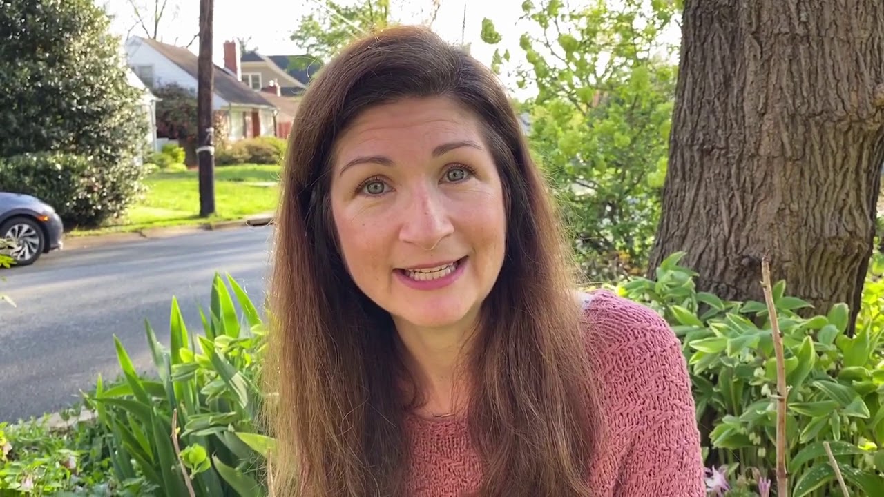 In The Garden With Mrs. Ferrara #2 - YouTube