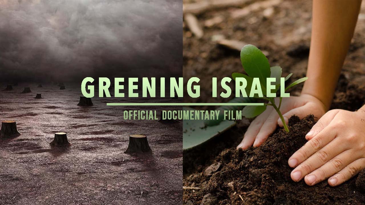 Transforming Israel's Barren Terrain Into Green Forests | GREENING ...