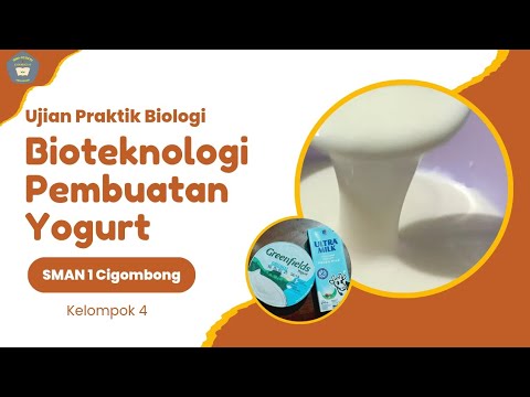 BIOTEKNOLOGI | PEMBUATAN YOGURT - YouTube