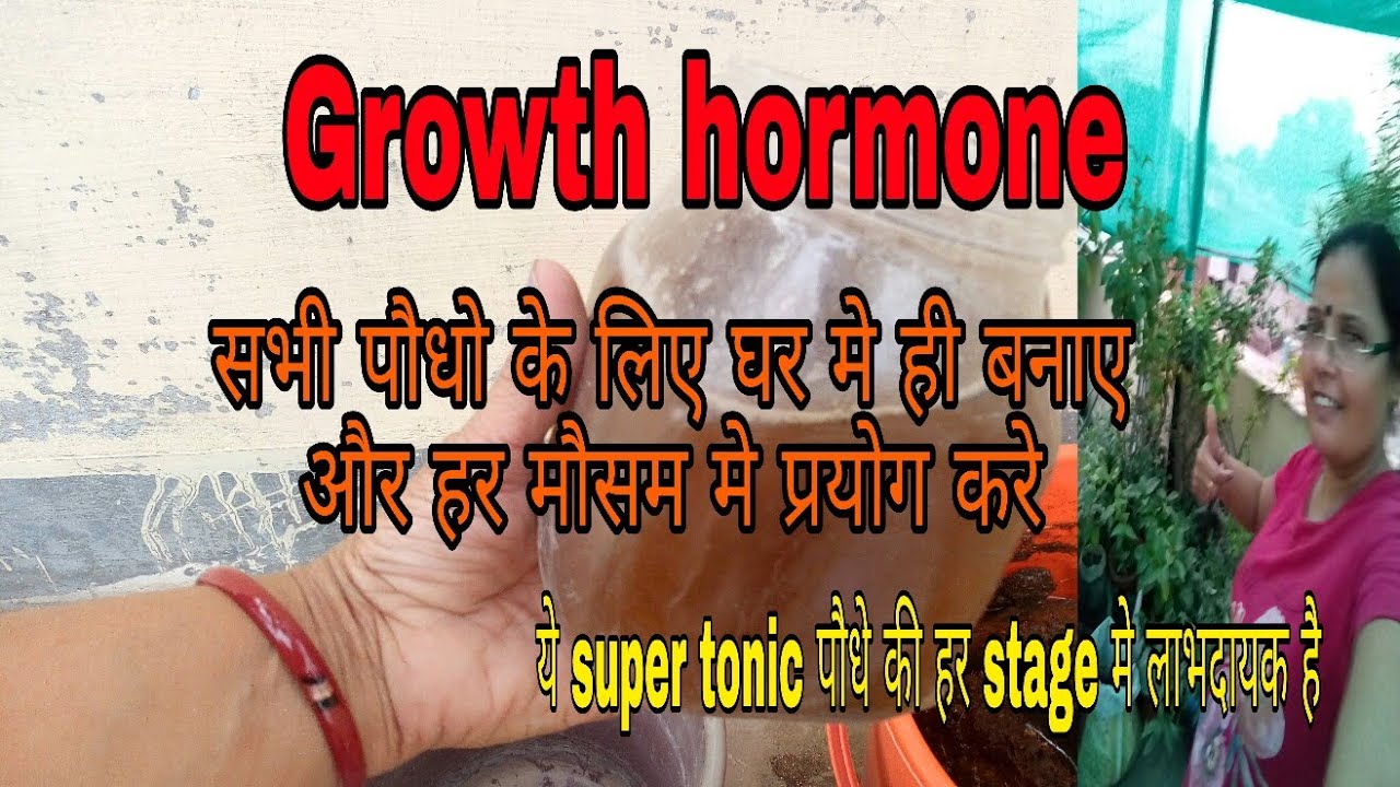 Homemade super humic tonic for all plants diy/making of growth hormone ...