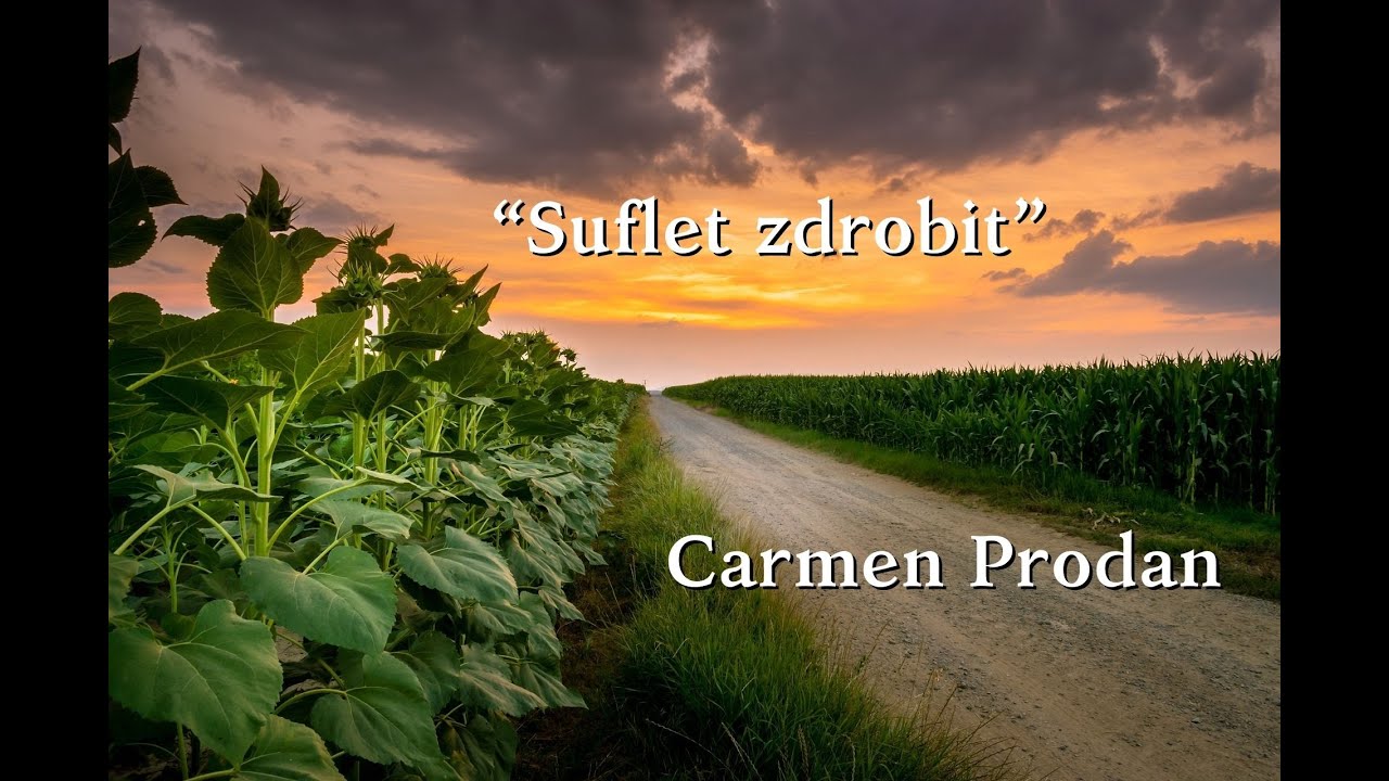 Carmen Prodan "Suflet zdrobit" - YouTube
