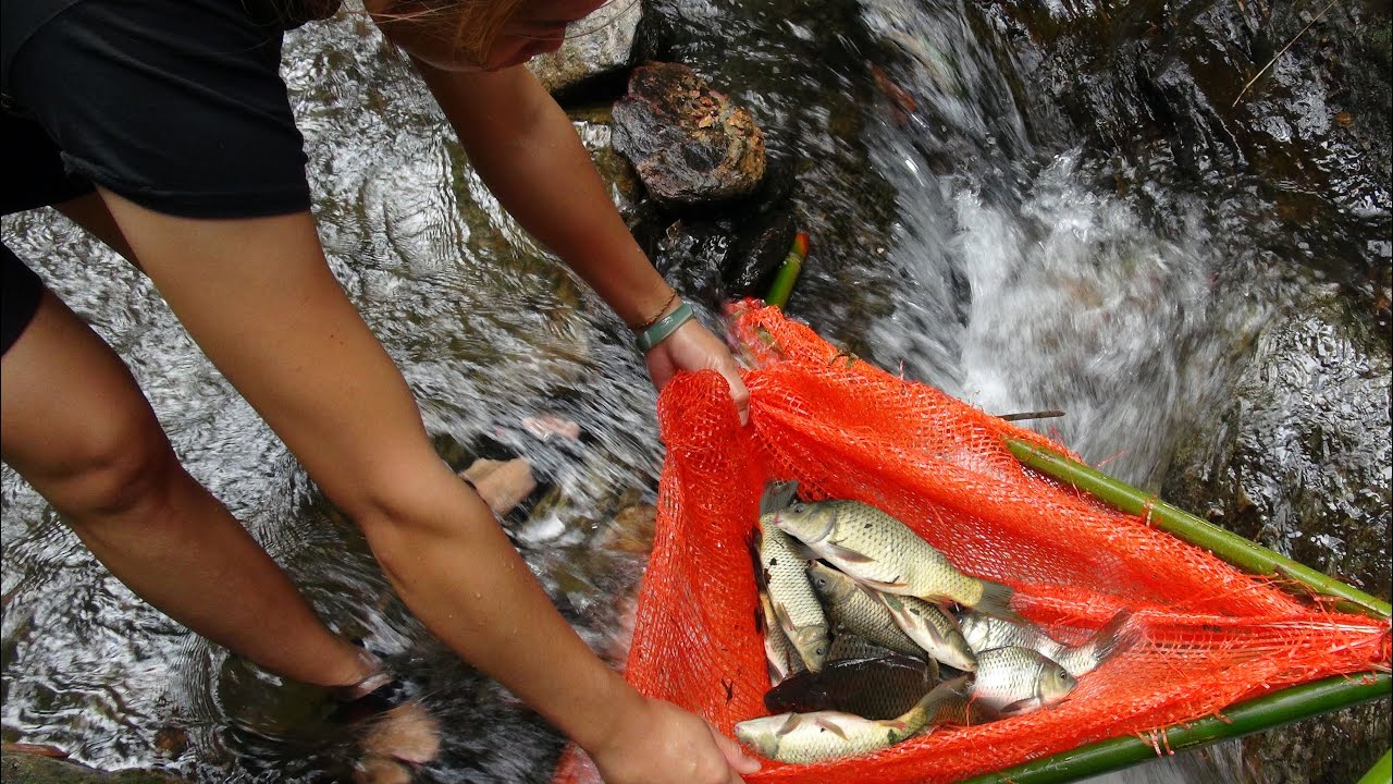 Fishing techniques - Build a system of traps to catch stream fish ...