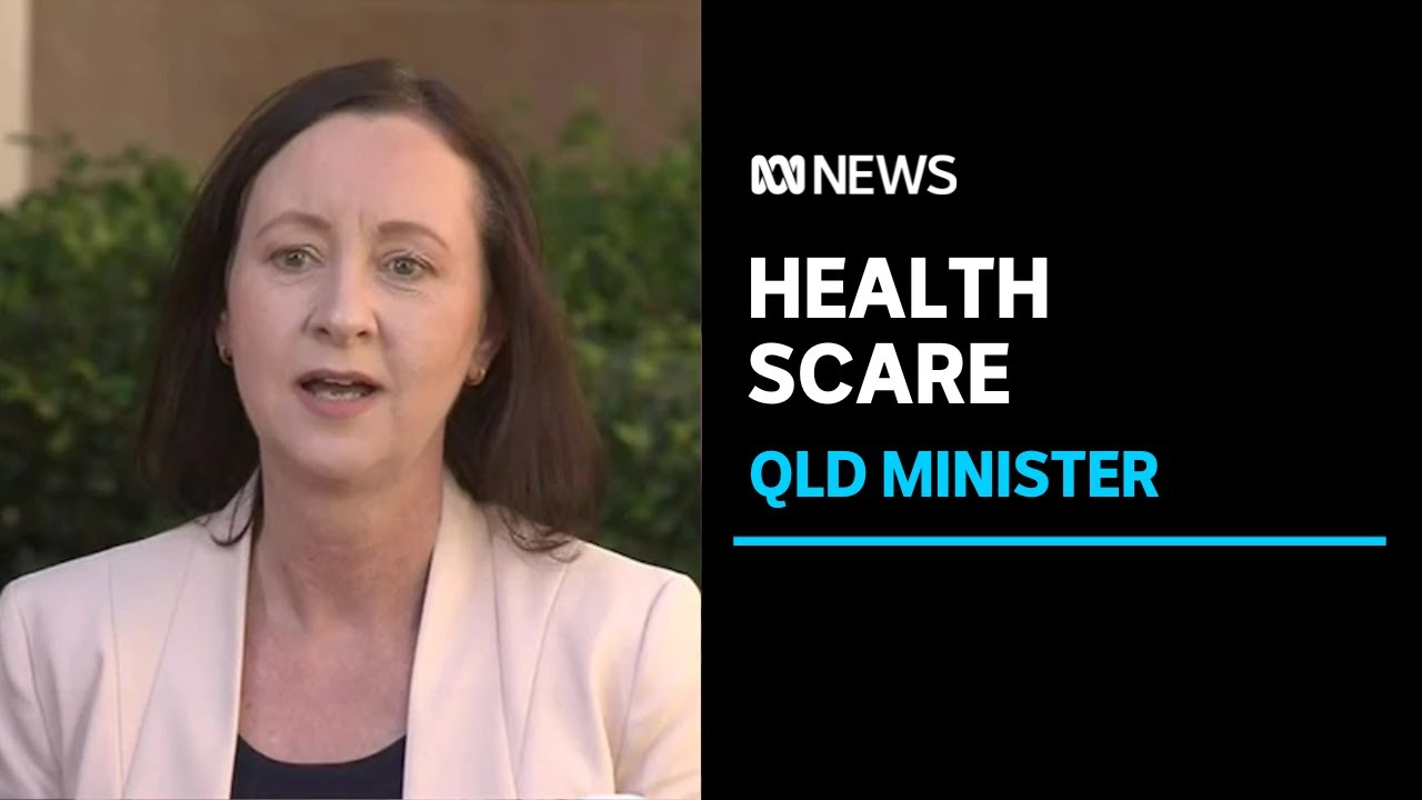 Queensland Health Minister Yvette D'Ath's hairdresser may just have ...