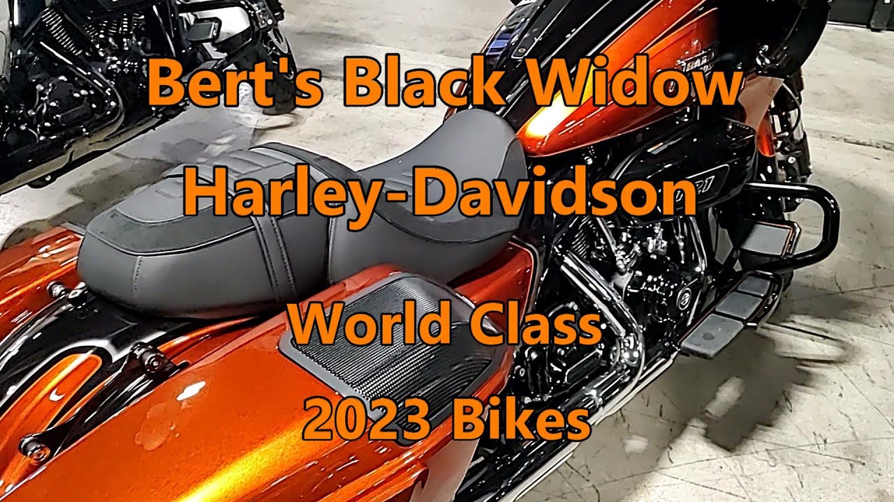 Bert S Black Widow Harley Davidson