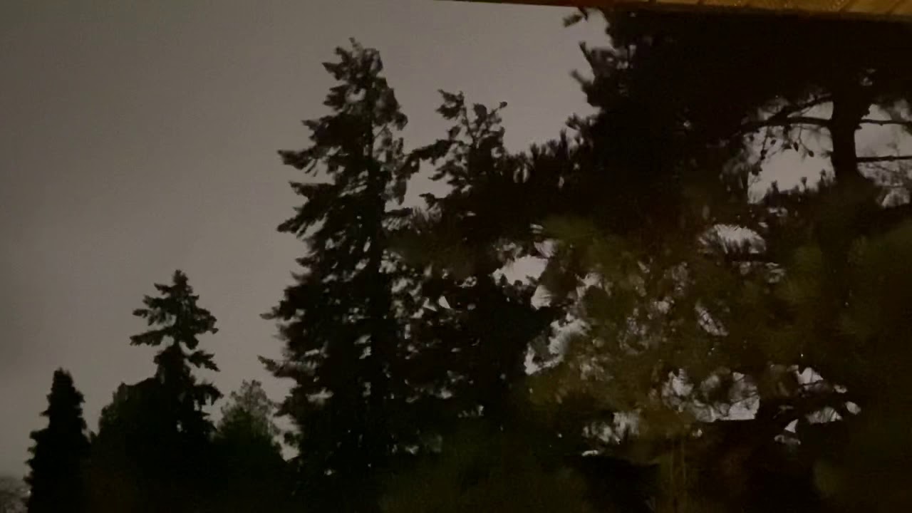 Electrical Transformer Explosion West Seattle Wind Storm - YouTube