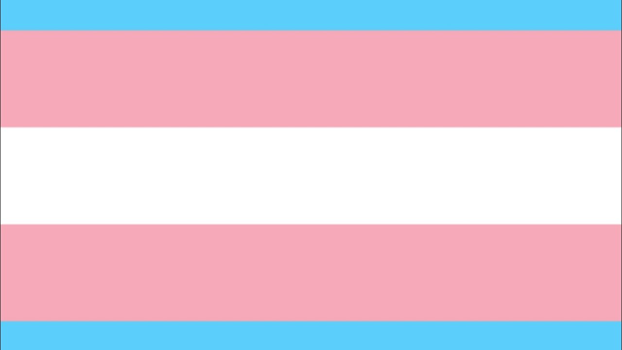 \\ showing (almost) all my trans ocs for trans visibility day ️ ...