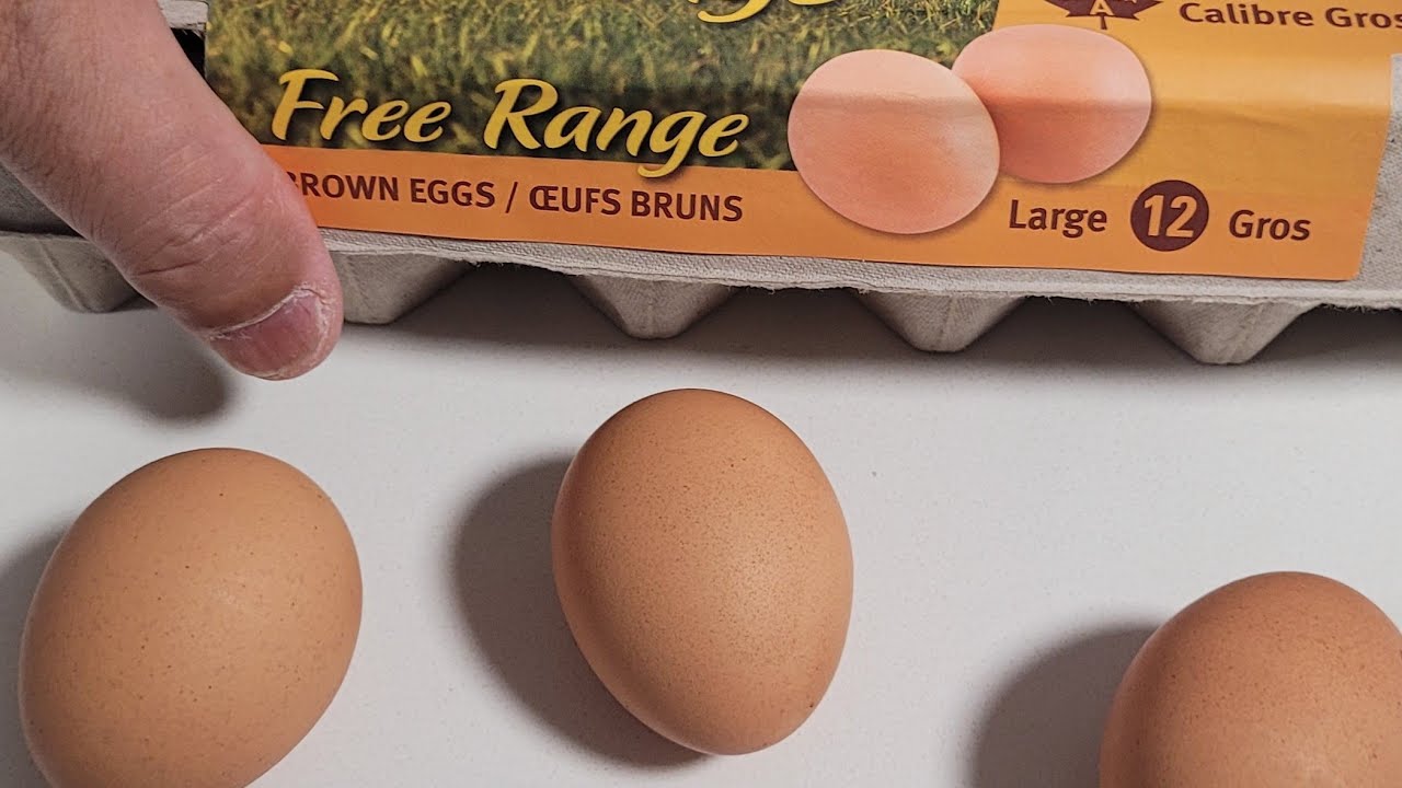 ate betchay is live! - YouTube