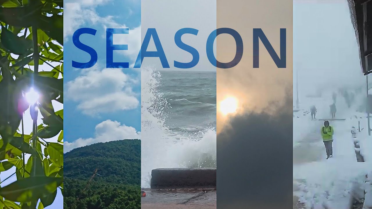 Amazing Natural Earth: Seasons Autumn Spring Summer Winter new year ...