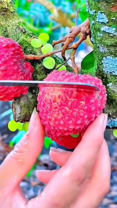 Top 10 Amazing Facts About Food 🤯| Mind Blowing Facts | Interesting ...