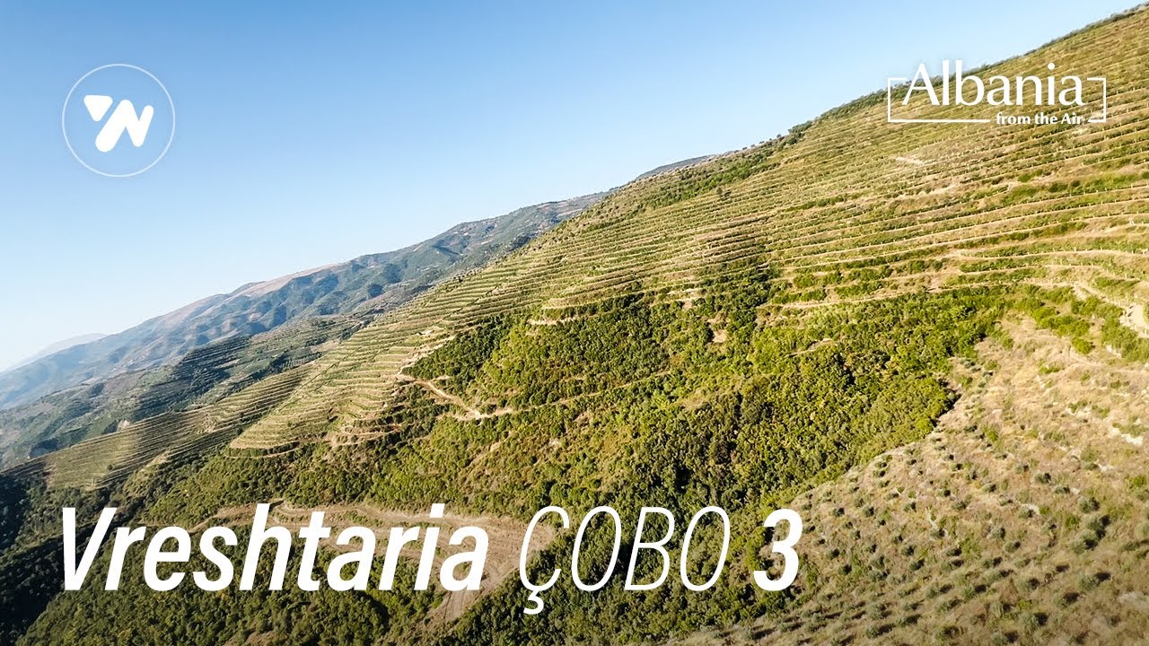 Berat - Vreshtaria COBO nga Ajri Video-3 4K (15.08.2024) - YouTube