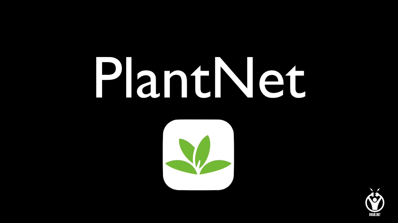 TUTO PLANTNET - YouTube