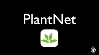 TUTO PLANTNET