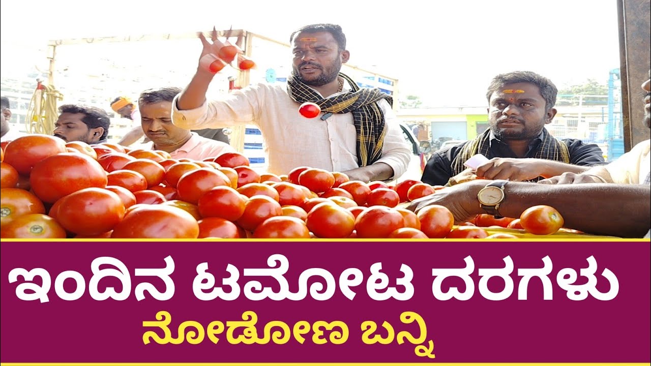 today Tomato rates.n vaddahalli nrs Mandi tomato 🍅🍅🍅🍅 - YouTube