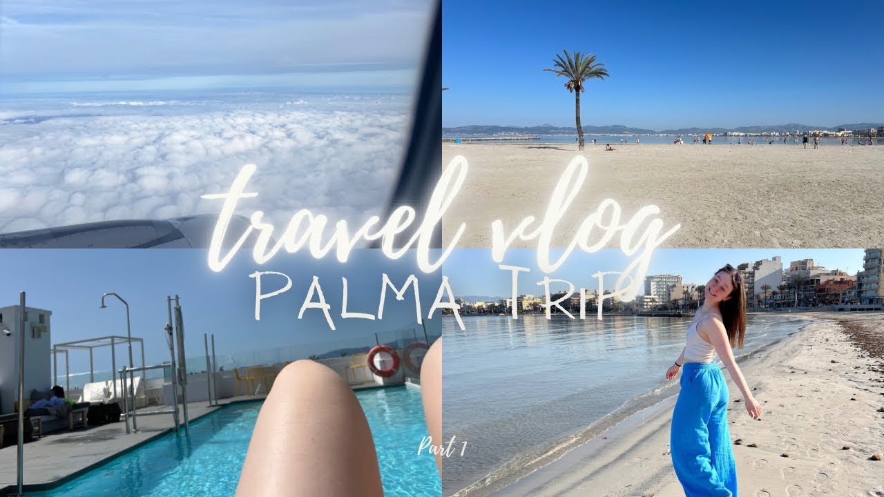 FLYING & FIRST DAY IN PALMA *A bird flew into the plane !!* - YouTube
