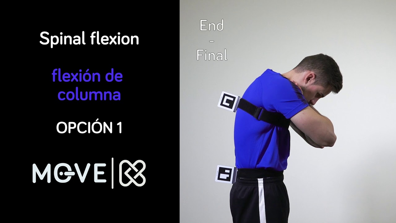 Flexión de columna /Spinal flexion - YouTube