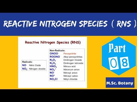Reactive Nitrogen Species | Stress Physiology in Plants - YouTube