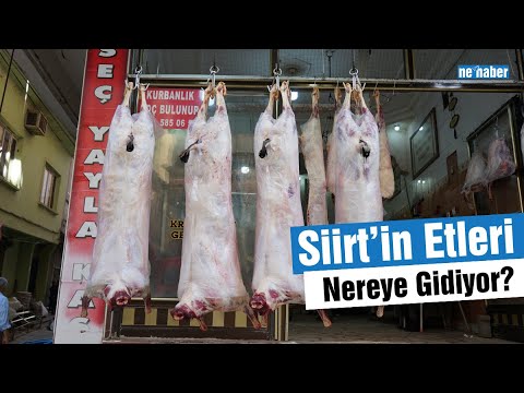 Siirt’in Etleri Nereye Gidiyor?