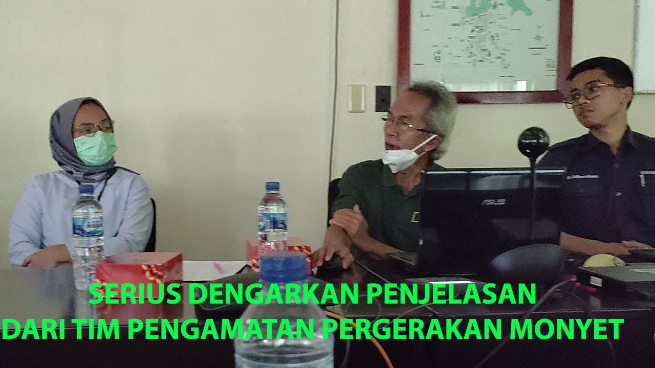 Melakukan Survey awal satwa liar Monyet oleh IPB & BBKSDA di Rumbai ...