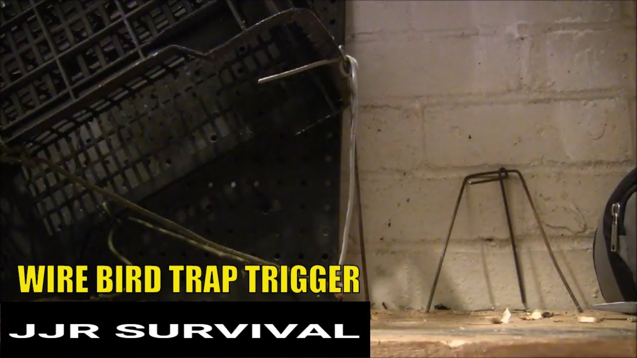 Wire bird trap trigger - YouTube