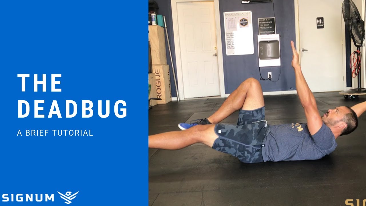 The Deadbug | A Tutorial - YouTube