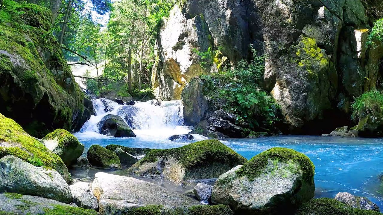 Calming River Flowing in Nature - Beautiful River Soundscape To Calm ...