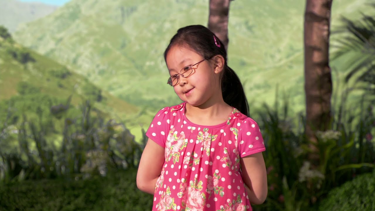 Waybuloo 🧘 PEGS DE TUYAU - ÉPISODE COMPLET 🌳 ZeeKay Junior Français ...