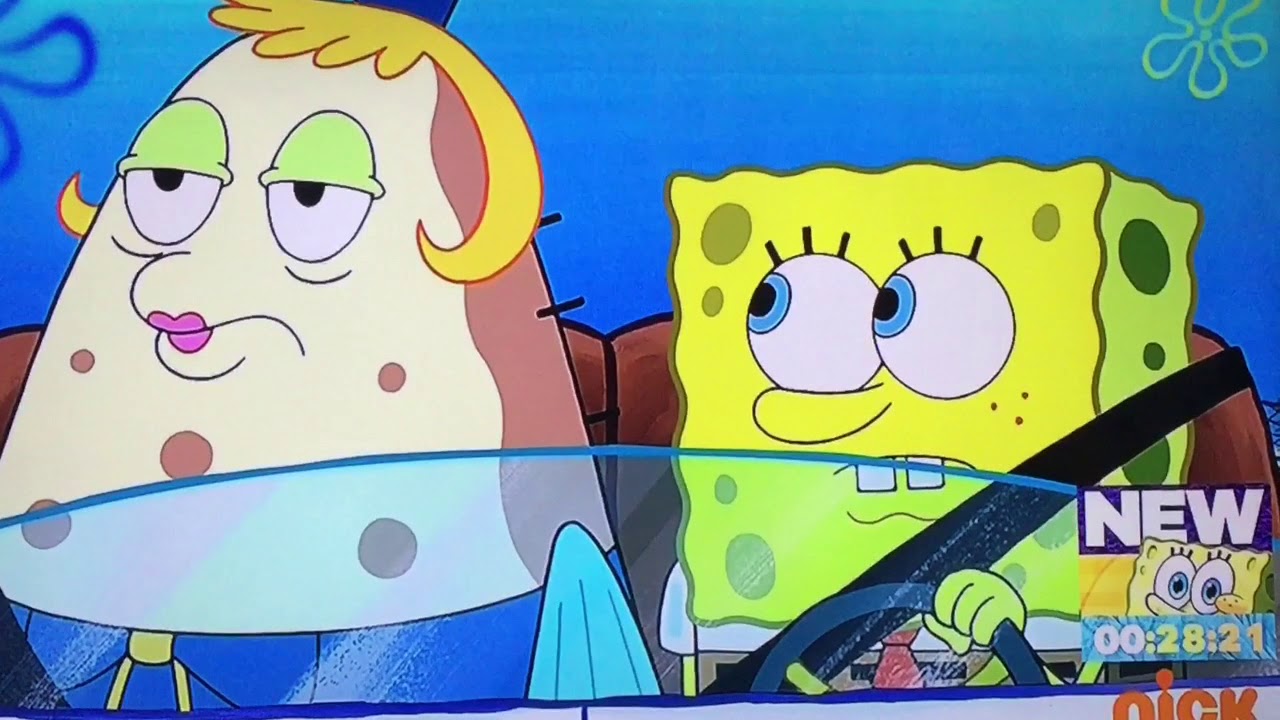 SpongeBob Teacher Pests Countdown Screen Bug - YouTube