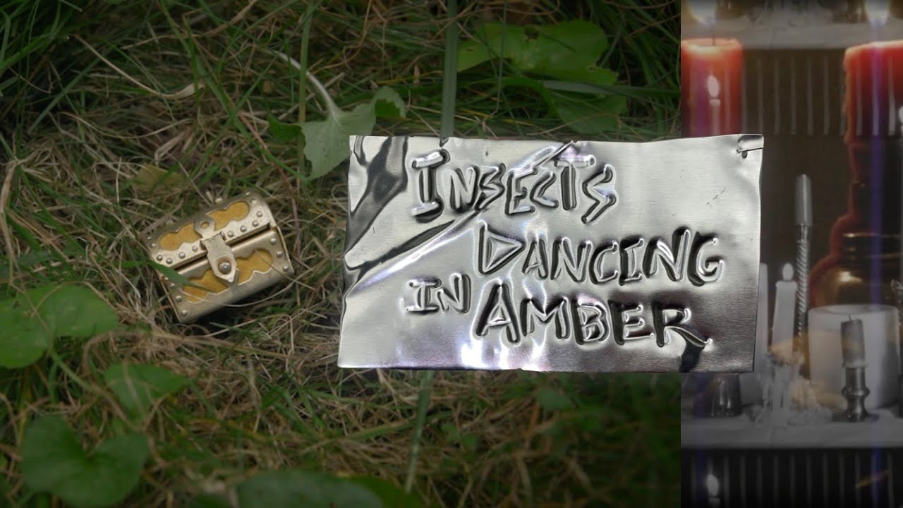 Insects Dancing in Amber - short film - YouTube