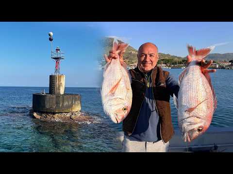 FIRTINADA MERCAN PARAGATI! | ZÜRAFA KAYALIKLARI'NDA GERİLİM TIRMANIYOR!