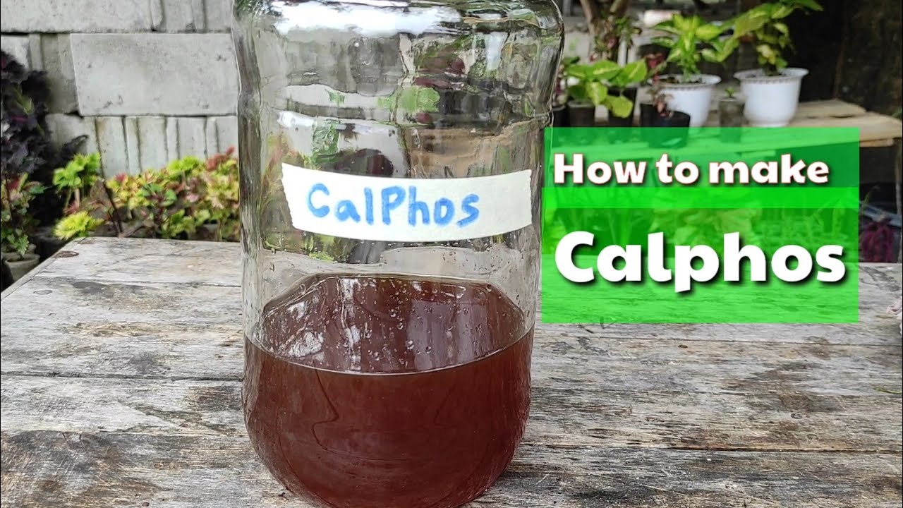 Paggawa ng Calphos | Making Water Soluble Calcium Phosphate - YouTube