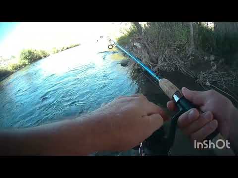 🧿MEPS  İLE ALABALIK  AVI 🧿 Sonuç: Keyif Dolu Bir Gün #fishing #fish #alabalıkavı #troutman