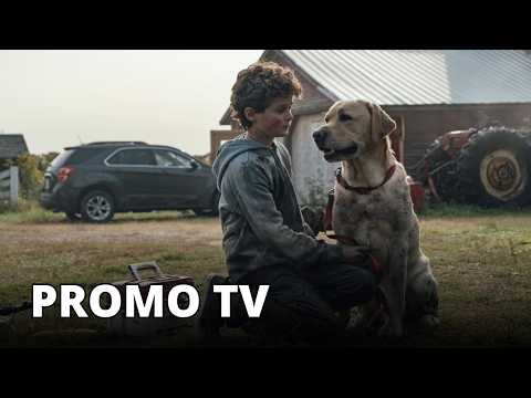 BLOOD (2022) | Promo tv del film horror di Brad Anderson | RAI