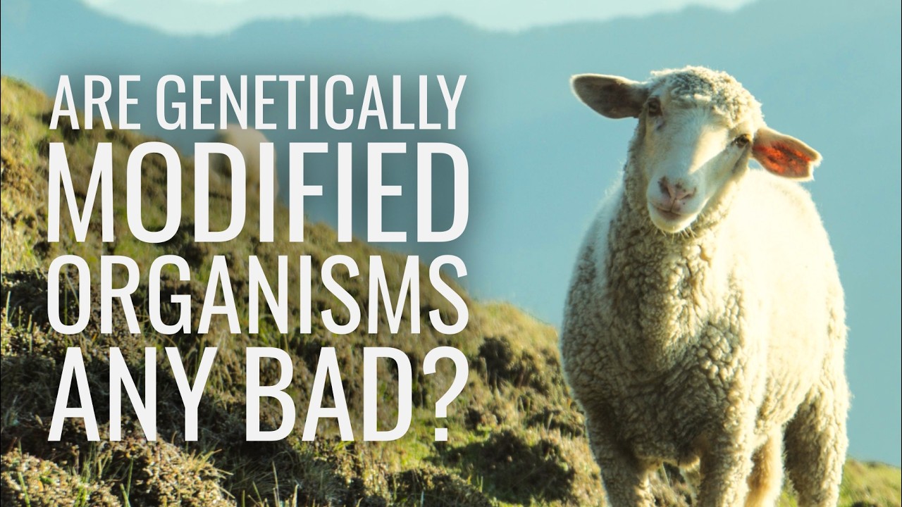 ARE GENETICALLY MODIFIED ORGANISMS ANY BAD? IT'S MORE COMPLEX THAN YOU ...