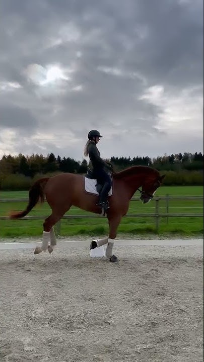 women horse riding | horse lover | horse riding | beautiful horse ...