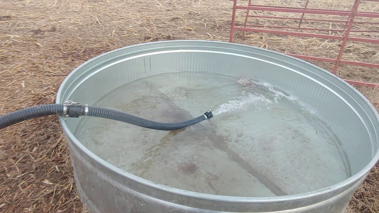 F800 Watering Cattle! - YouTube