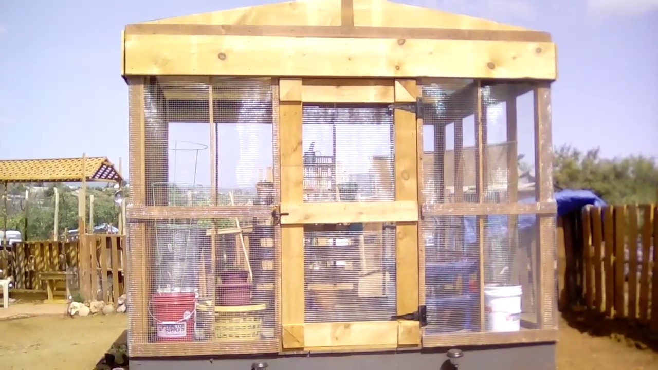 Wood Framed Screen House Greenhouse #4 Tour - YouTube