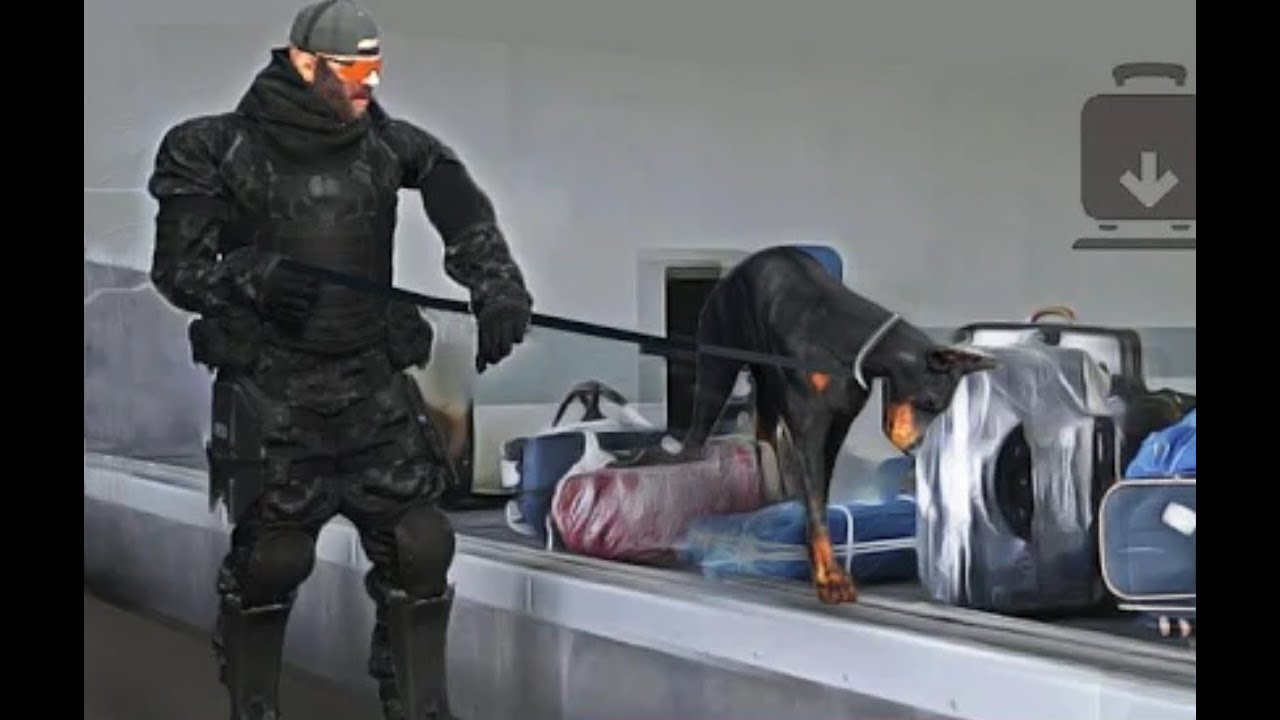 Secret K9 Dog Detective - Police Hero Crime City Cop Dog Simulator 3D ...