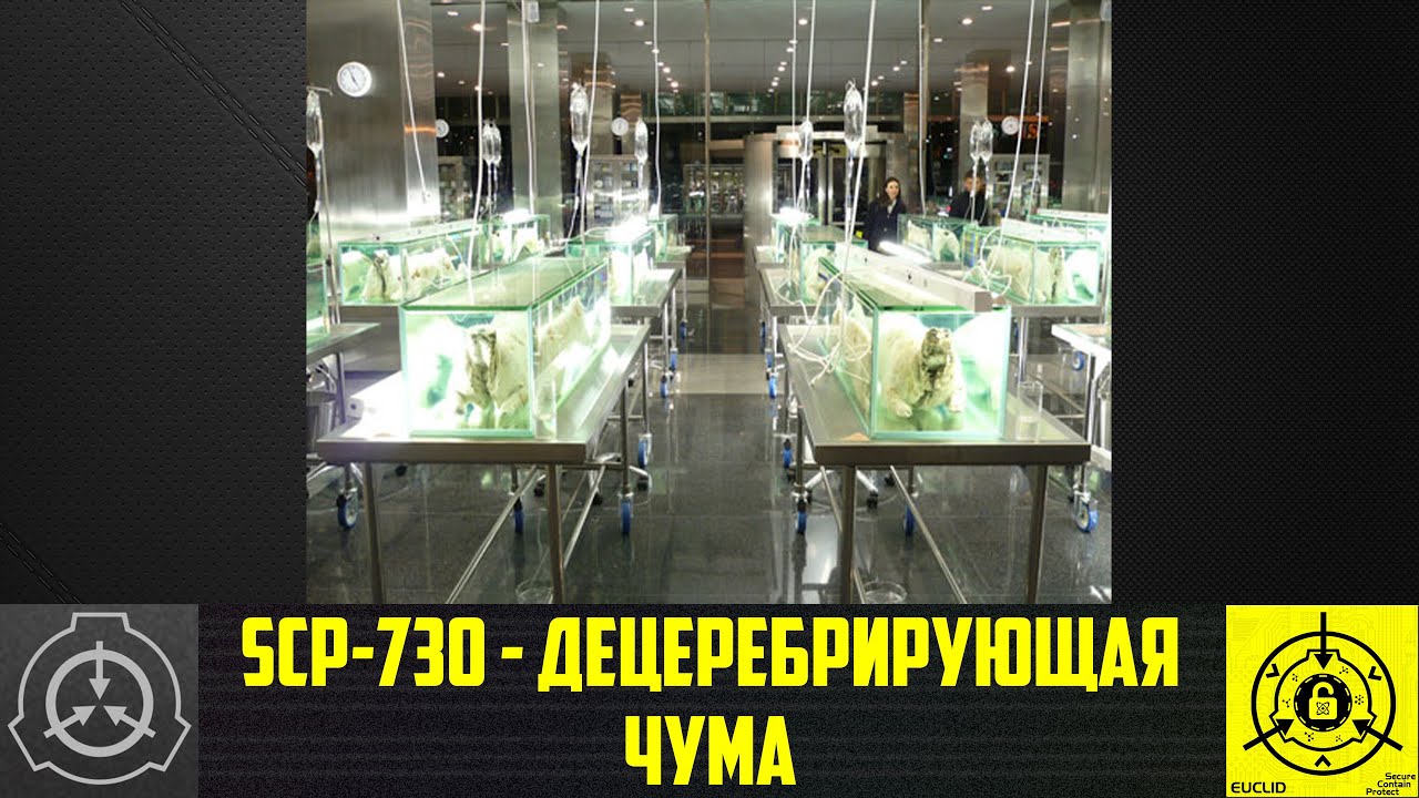 SCP-730 - Децеребрирующая чума 【СТАРАЯ ОЗВУЧКА】 - YouTube