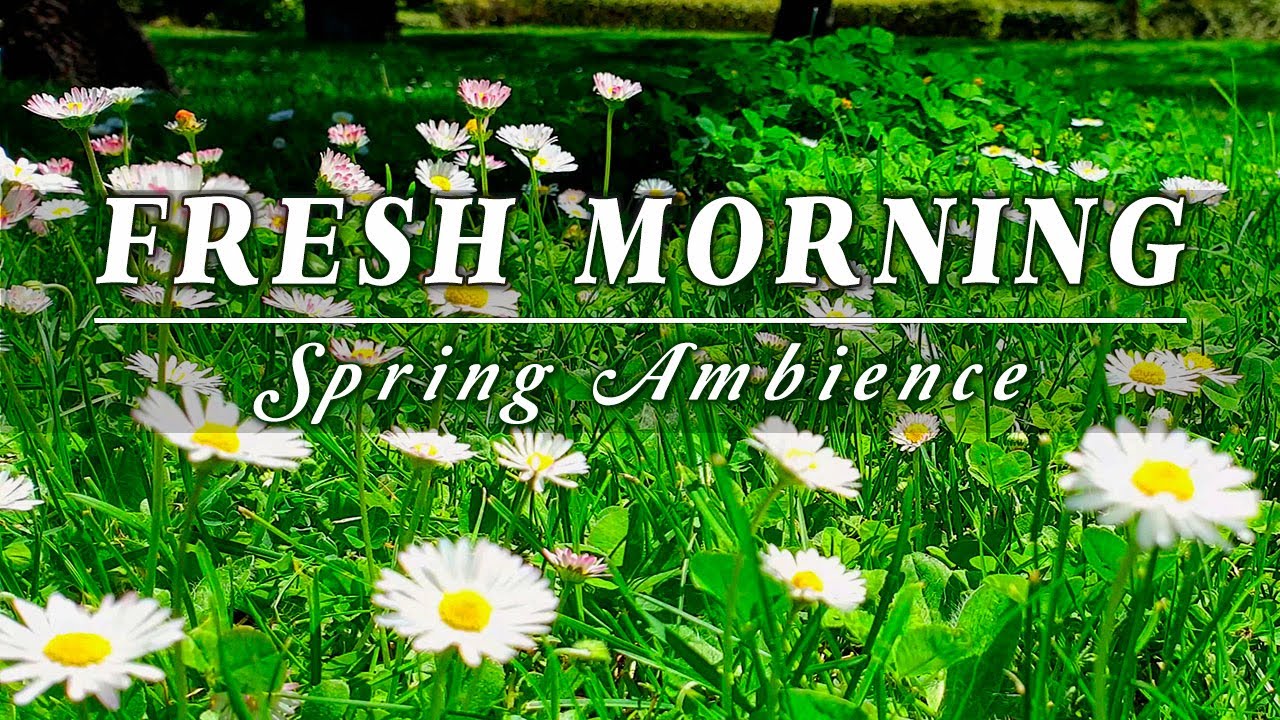 🌿🌞A FRESH START FOR A POSITIVE DAY🌻 10 min of Healing Spring Sounds in ...